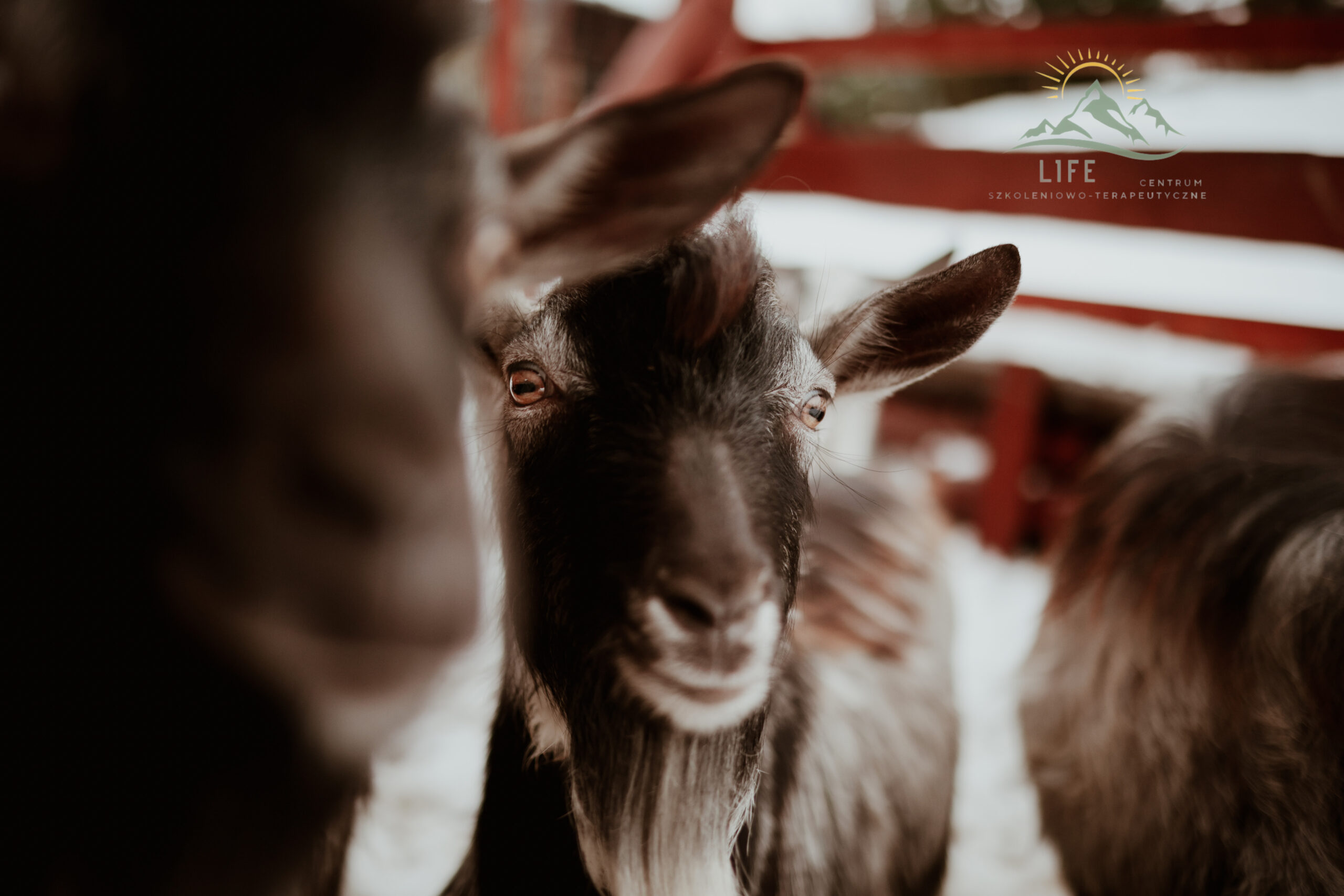 Galeria Ośrodka Centrum Life | Centrum Life